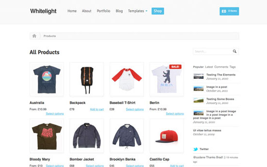 15 Best WooCommerce Themes to Kick Start your e-Commerce Site