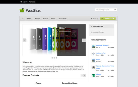 15 Best WooCommerce Themes to Kick Start your e-Commerce Site